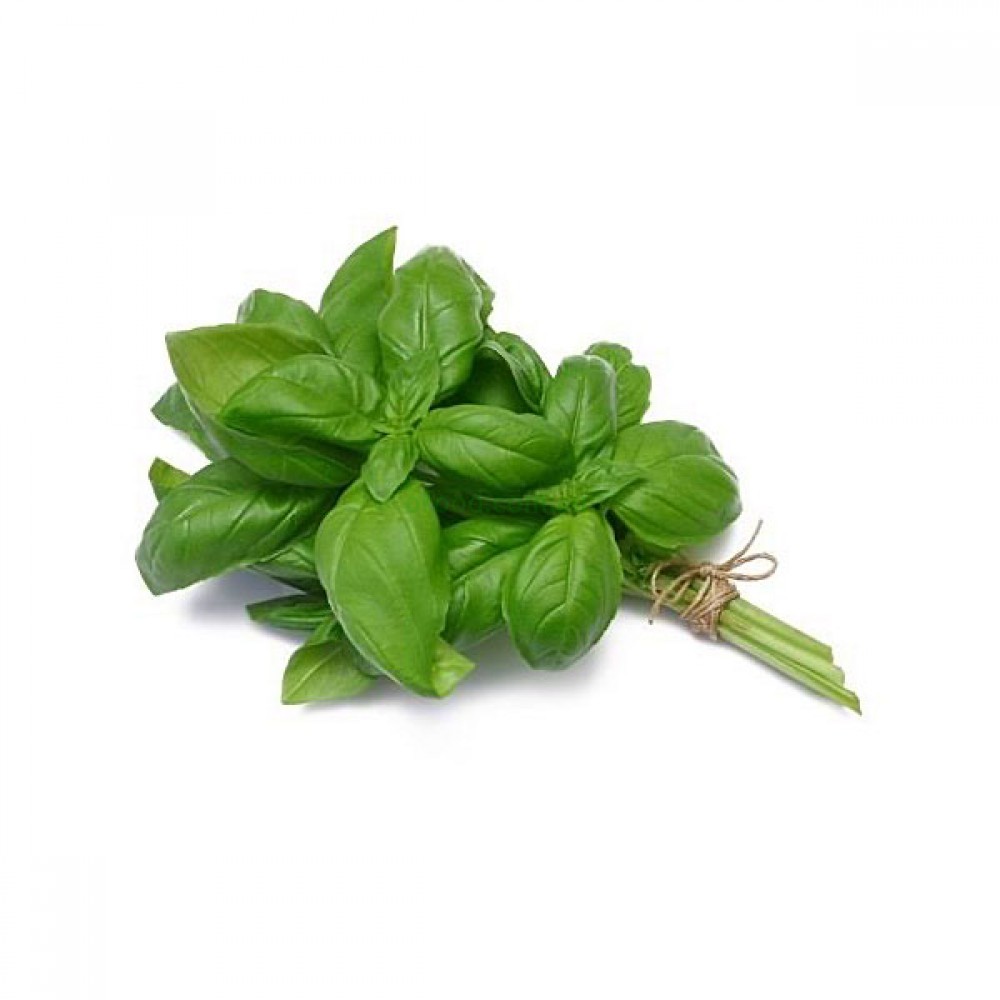 Aussie Basil 1 Bunch