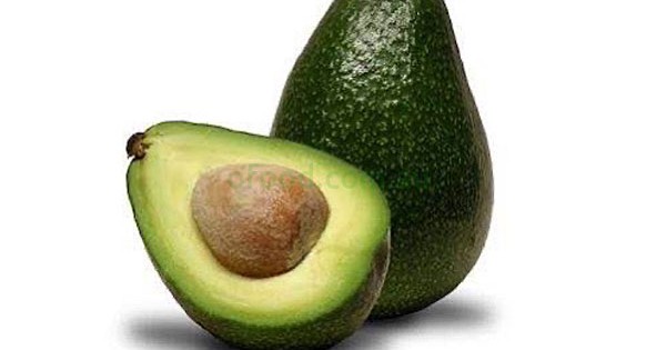 Avocado Per each