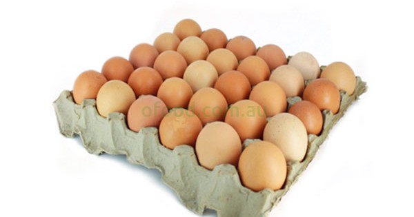 Fresh Egg 700g 30pcs Per Tray